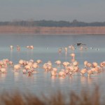 Lake Burano: between the sea and Tuscany’s countryside – MaremmaBlog